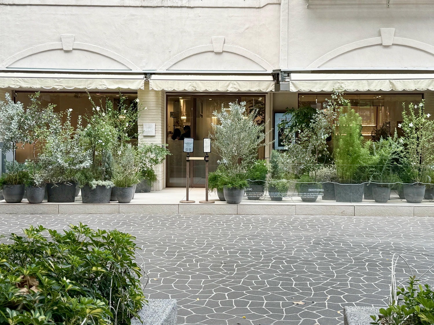 【台北高級餐廳推薦】rooTi在台北永康街遇見歐洲，健康美味地中海飲食特色餐廳，還有大小提琴鋼琴現場演奏好浪漫 – 洋洋的吃喝玩樂